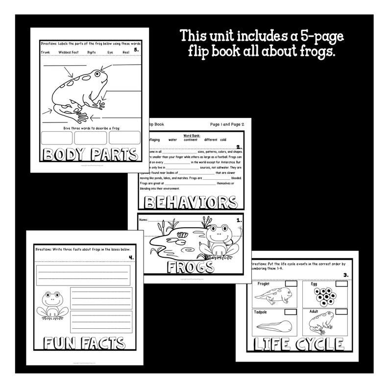 Frogs Printable Craft for Kids Build a Frog Amphibians Unit Study Pond ...