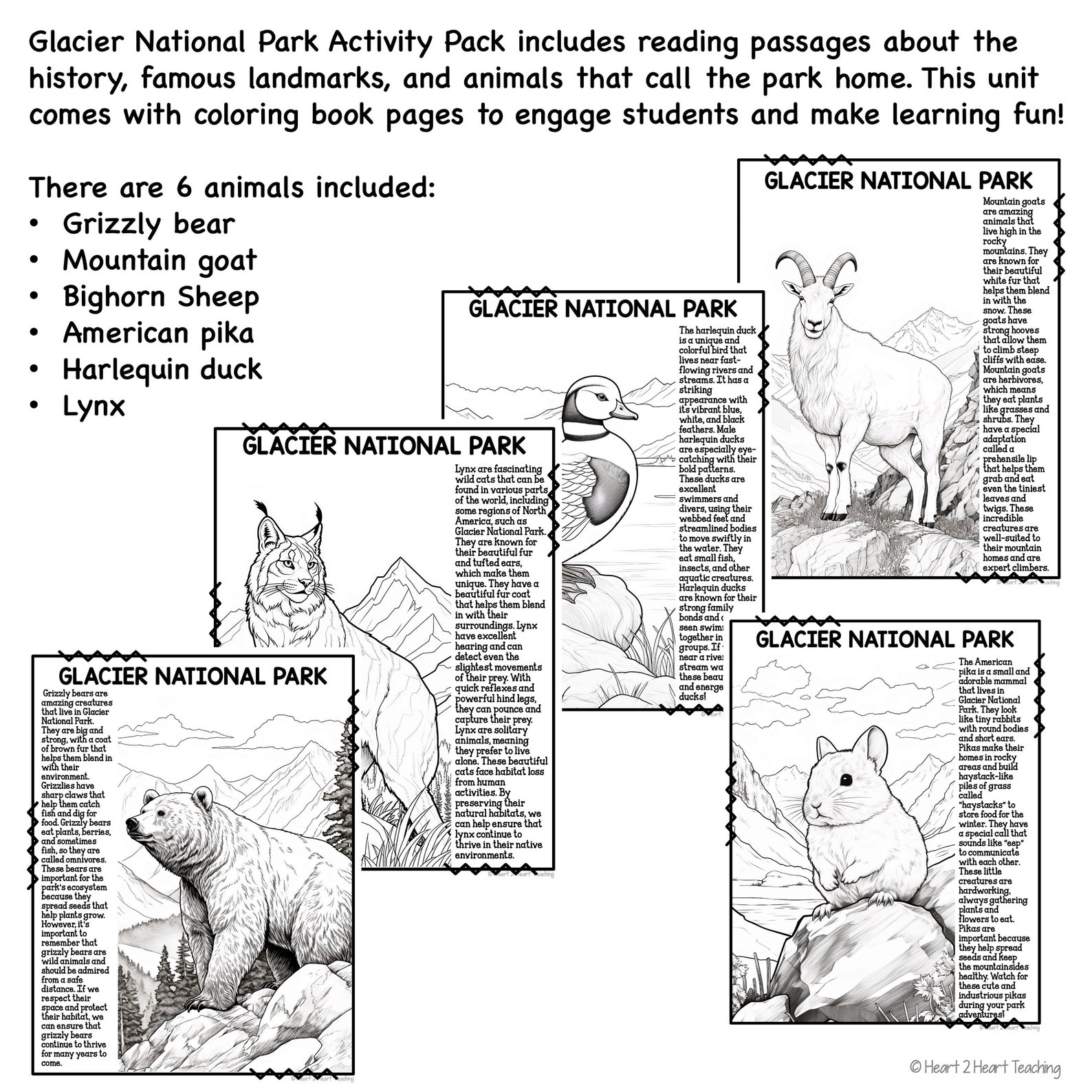Glacier National Park Coloring Pages: Kids' Activity Book (digital ...