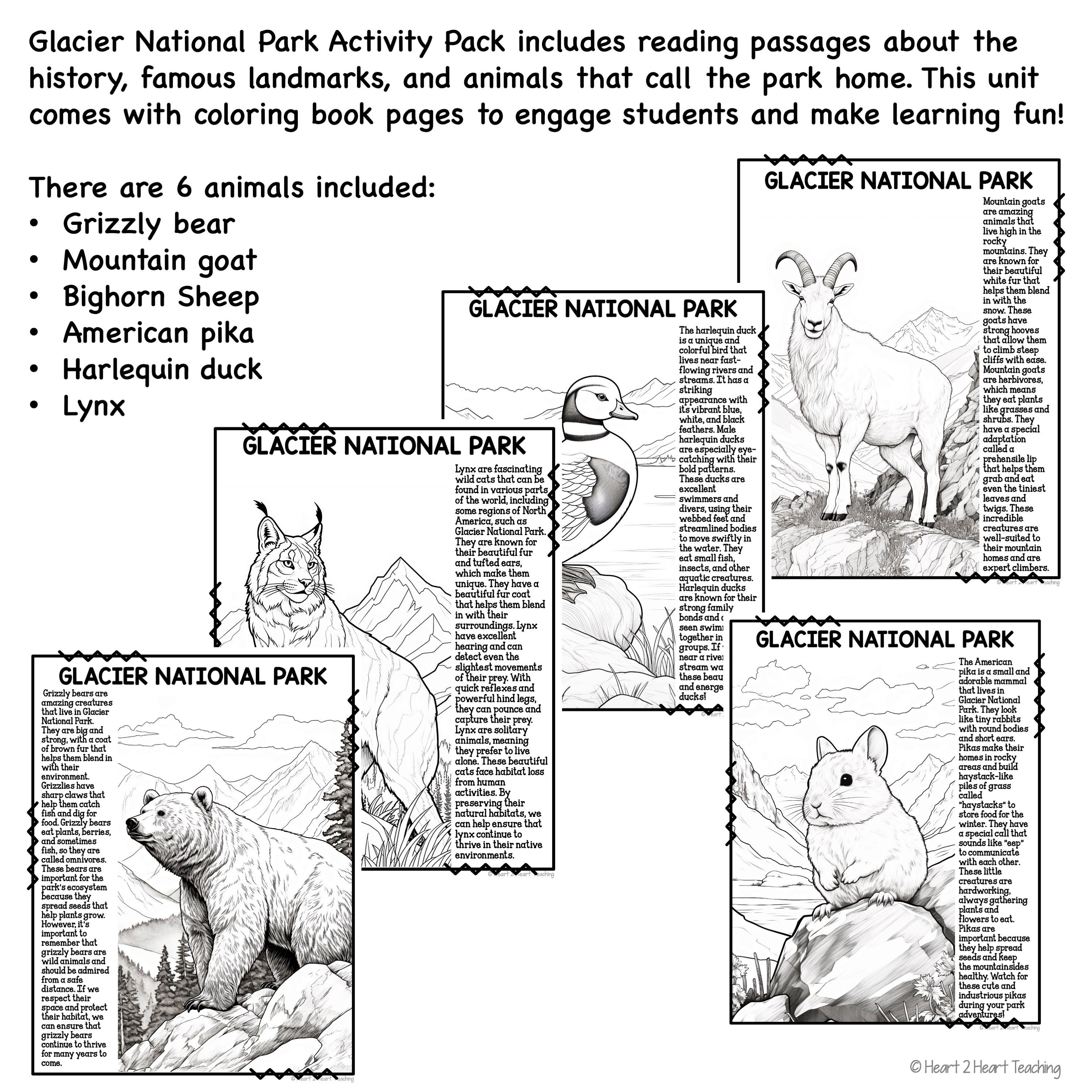 Glacier National Park Coloring Pages: Kids' Activity Book (digital ...