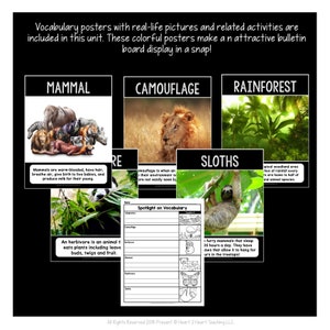 Sloth Activities for Kids Make a Sloth Craft Project Rainforest Animals ...