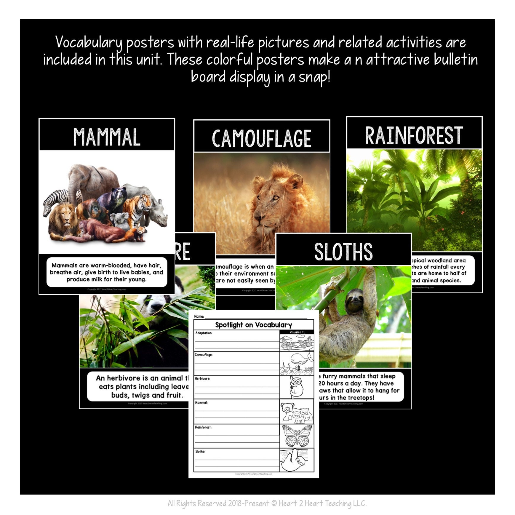 Sloth Activities for Kids Make a Sloth Craft Project Rainforest Animals ...