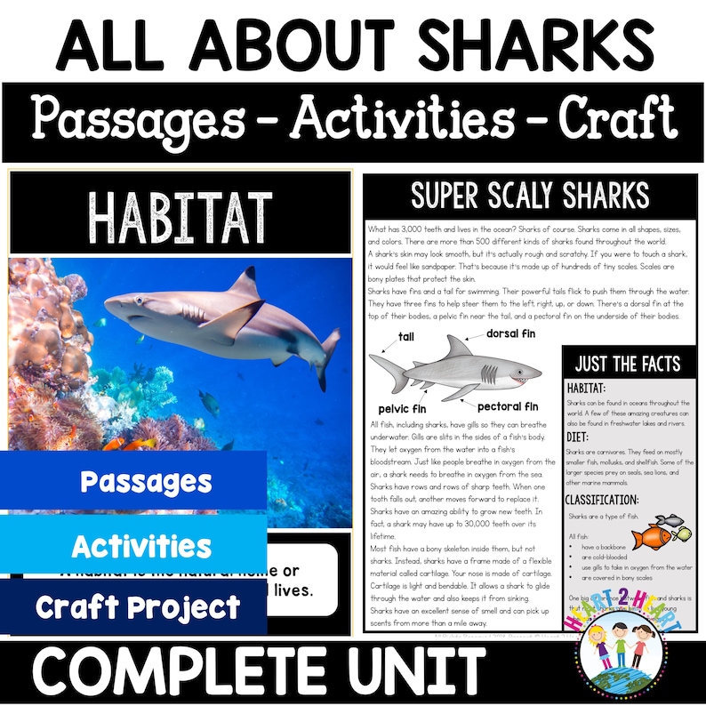 Shark Activity for Kids Make a Shark Craft Project Great White Shark ...