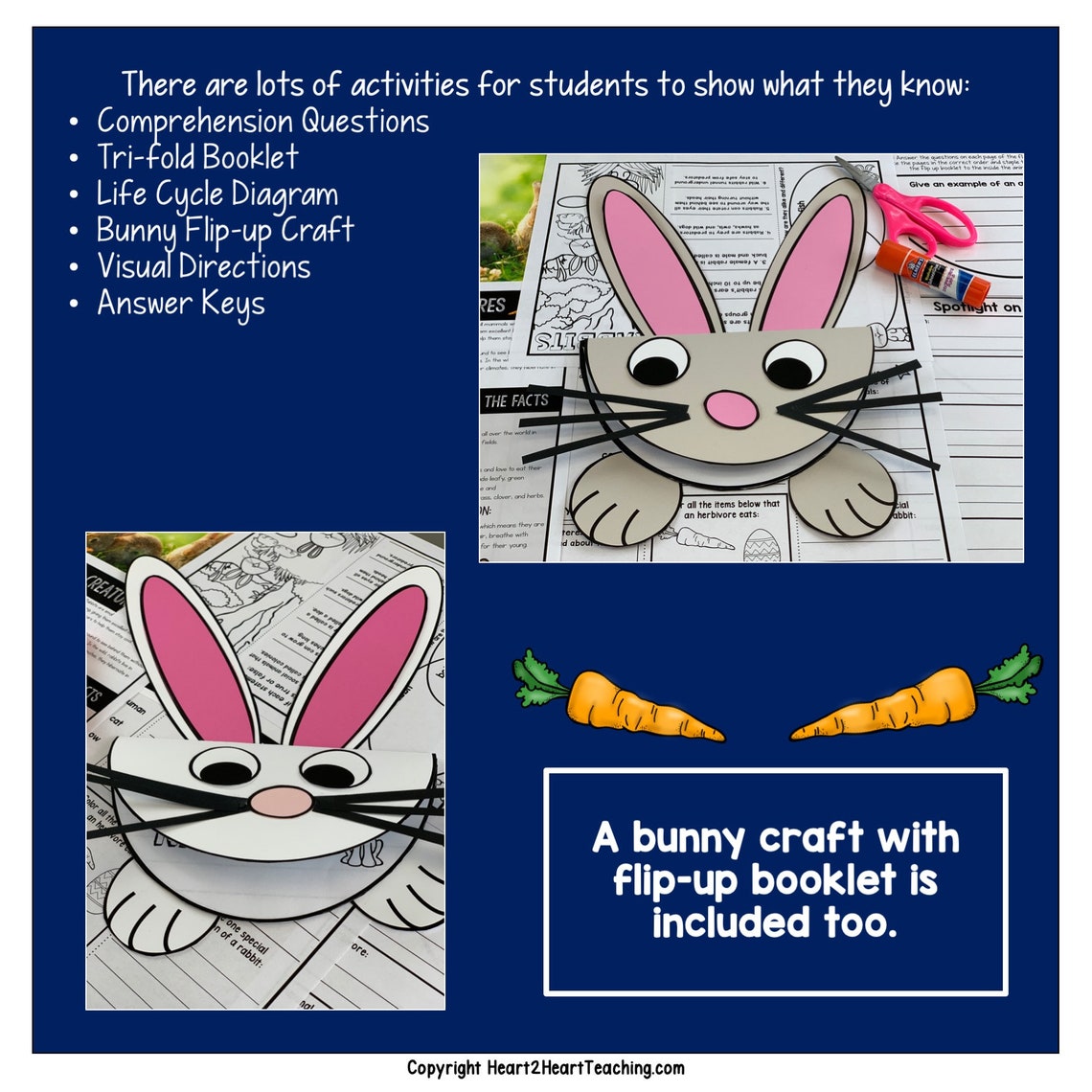 Rabbits Activity for Kids Make a Bunny Craft Project Rabbit Unit Study ...