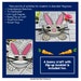 Rabbits Activity for Kids Make a Bunny Craft Project Rabbit Unit Study ...