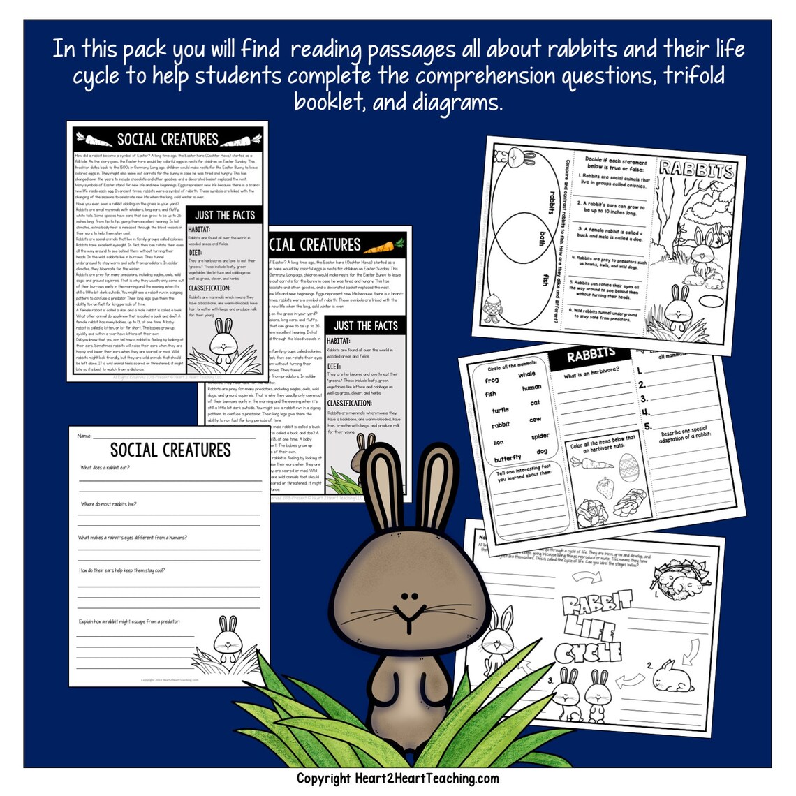 Rabbits Activity for Kids Make a Bunny Craft Project Rabbit Unit Study ...