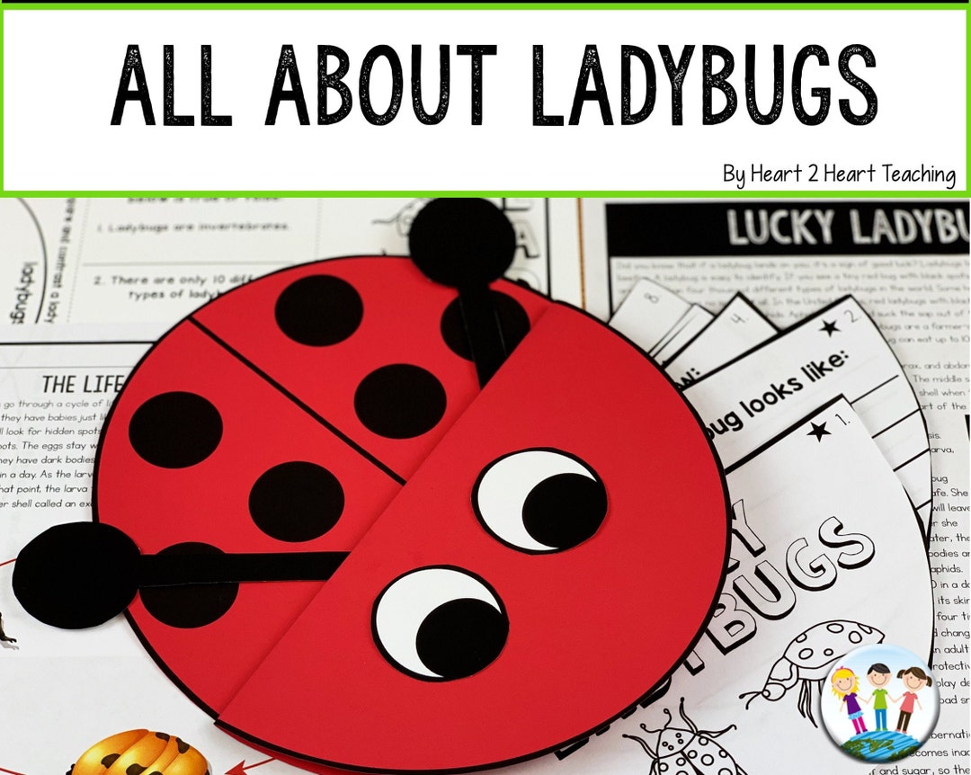 Ladybug Life Cycle Activity Pack: Craft & Worksheets (digital Download ...