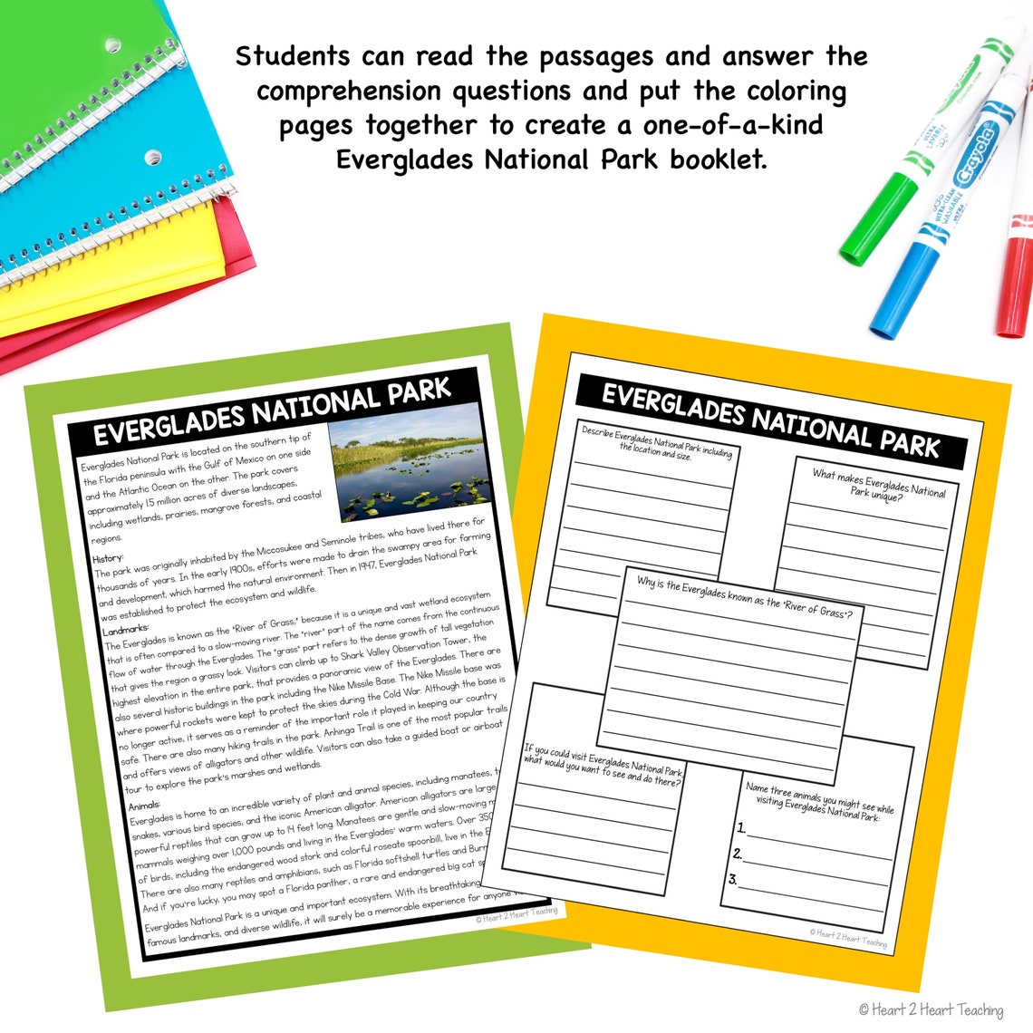 Everglades National Park Coloring Pages: Florida Animals Activity ...