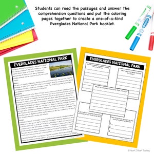 Everglades National Park Coloring Pages: Florida Animals Activity ...