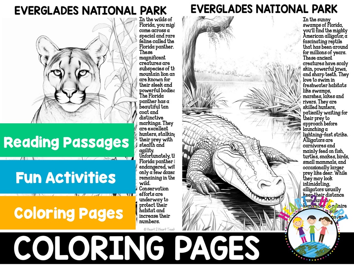 Everglades National Park Coloring Pages: Florida Animals Activity ...