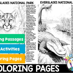 Everglades National Park Coloring Pages: Florida Animals Activity ...