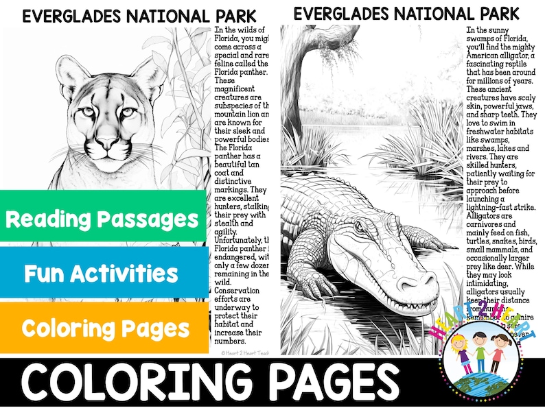 Everglades National Park Coloring Pages: Florida Animals Activity ...