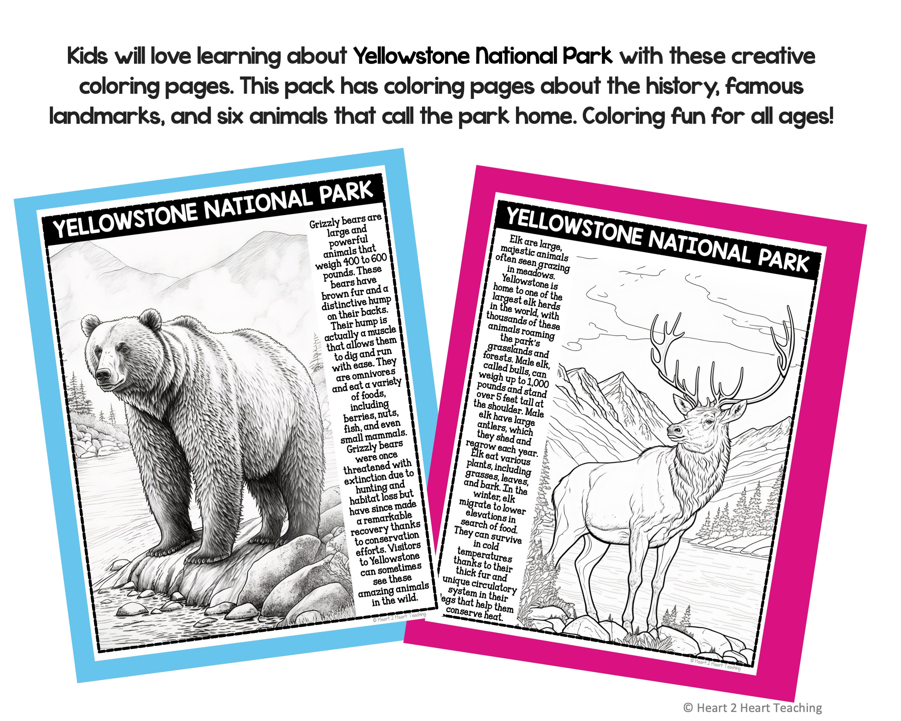 Yellowstone National Park Coloring Pages for Kids (digital Download) - Etsy