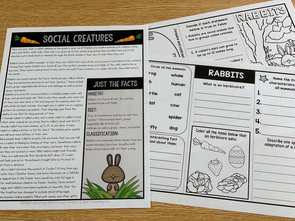 Rabbits Activity for Kids Make a Bunny Craft Project Rabbit Unit Study ...