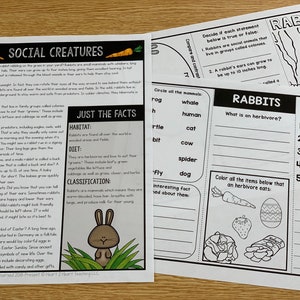 Rabbits Activity for Kids Make a Bunny Craft Project Rabbit Unit Study ...