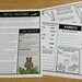 Rabbits Activity for Kids Make a Bunny Craft Project Rabbit Unit Study ...