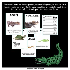 Alligator Printable Craft Crocodiles Printable Craft Alligator Unit ...
