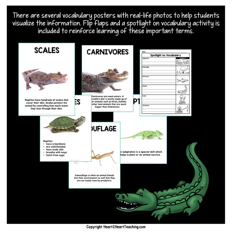 Alligator Printable Craft Crocodiles Printable Craft Alligator Unit ...