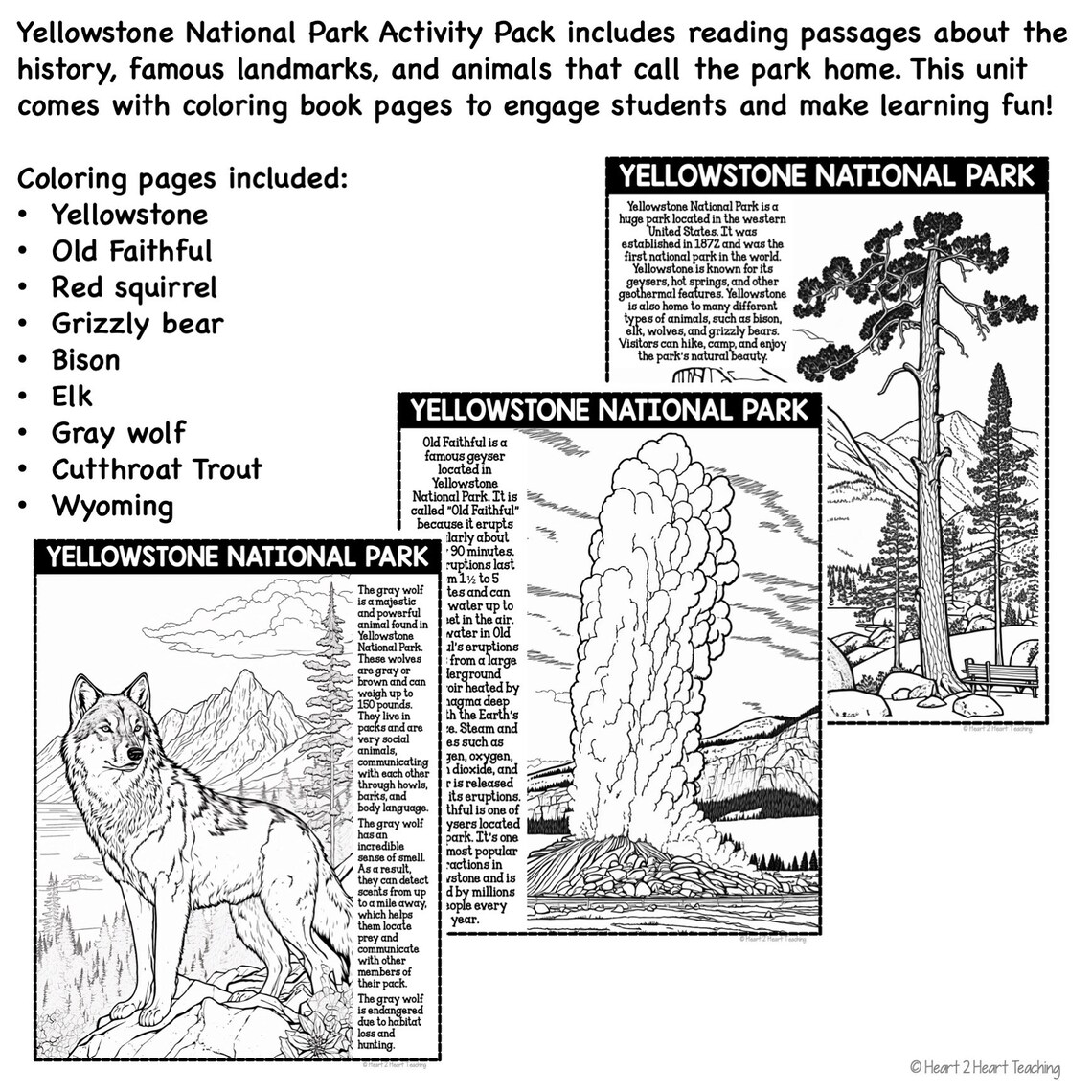 Yellowstone National Park Coloring Pages for Kids (digital Download) - Etsy