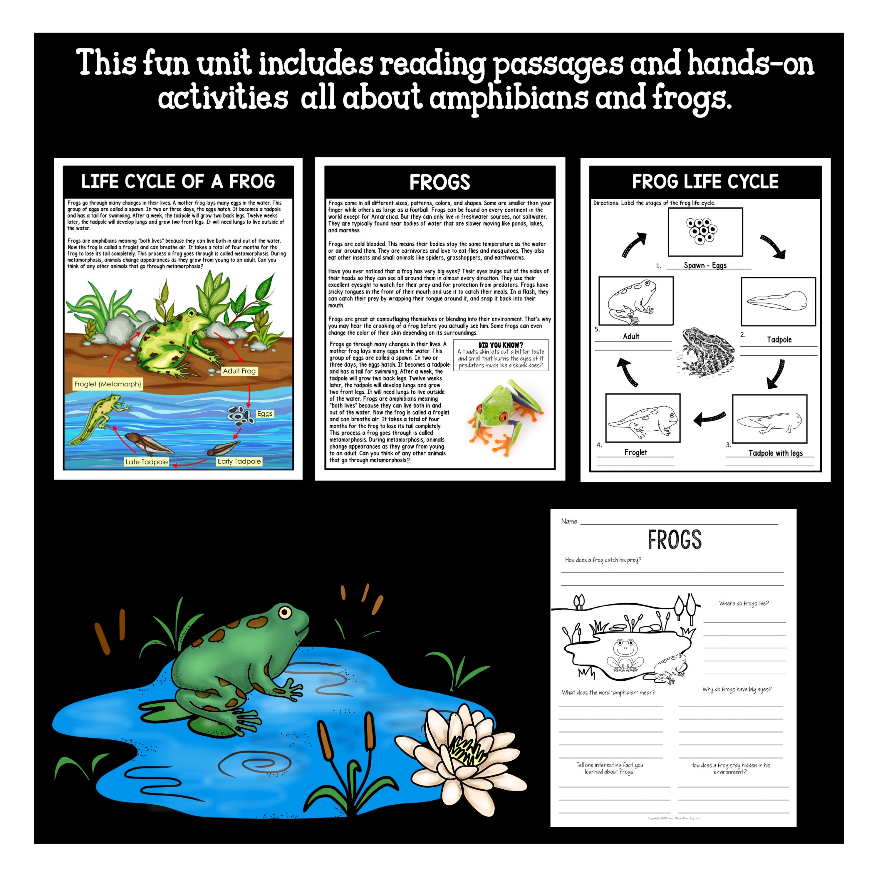 Frogs Printable Craft for Kids Build a Frog Amphibians Unit Study Pond ...