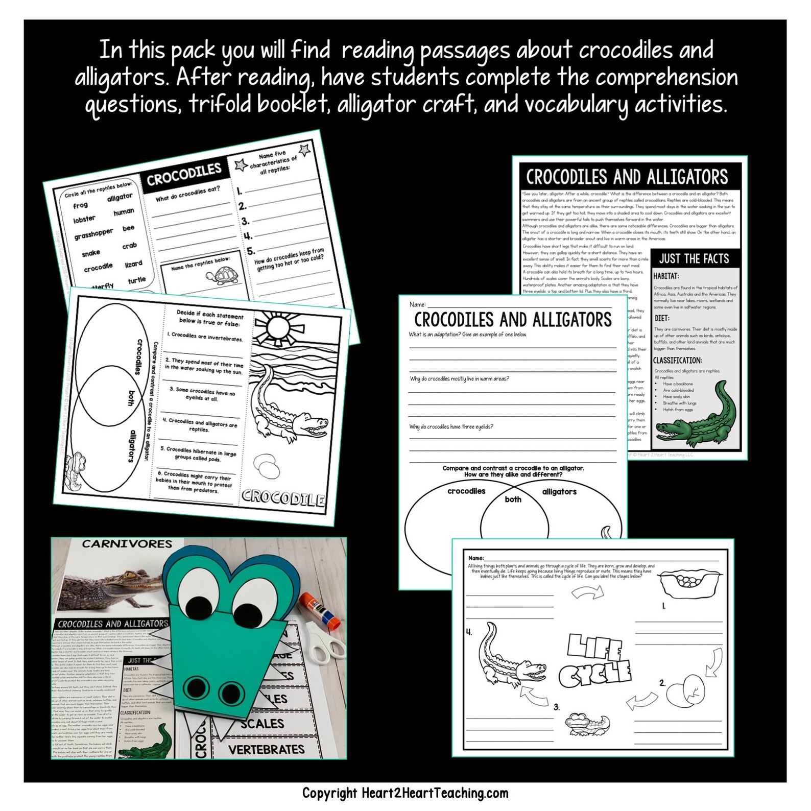 Alligator Printable Craft Crocodiles Printable Craft Alligator Unit ...