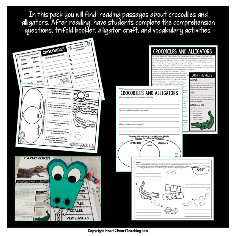 Alligator Printable Craft Crocodiles Printable Craft Alligator Unit ...