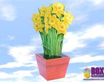 Daffodil Box | Etsy