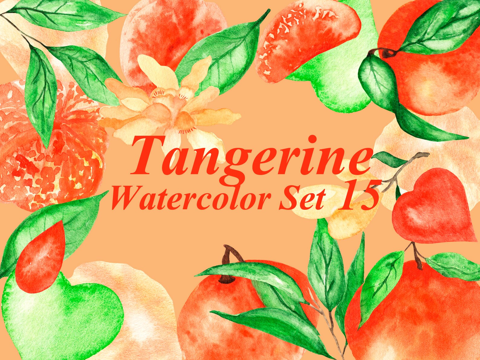 Tangerines Clipart, Watercolor Tangerine Clipart, Mandarin Clipart ...