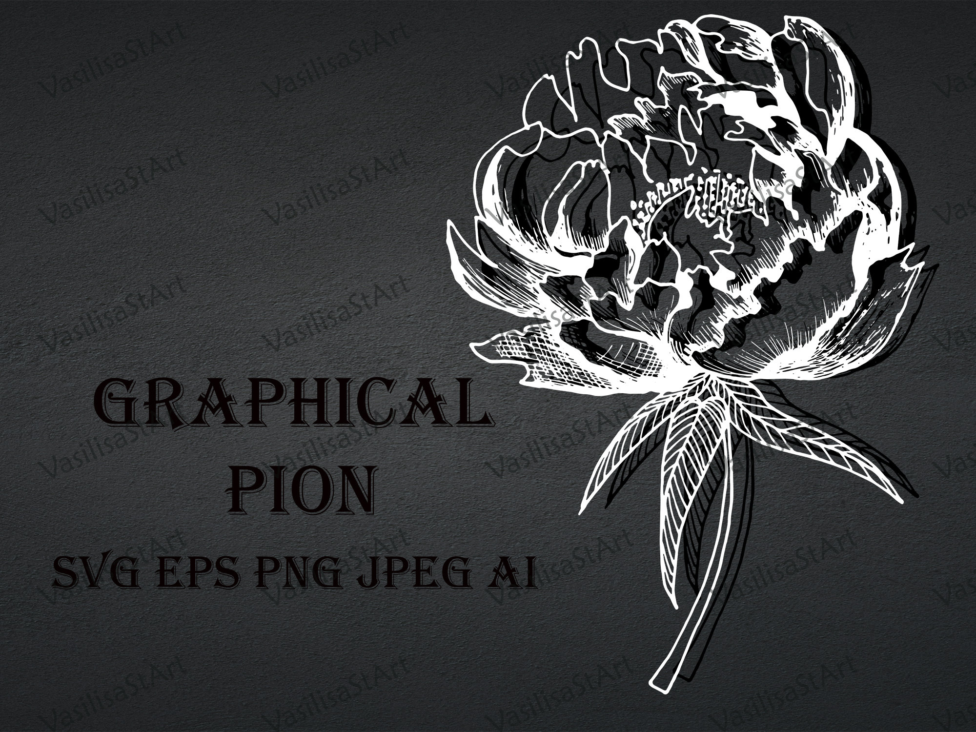 Pion SVG Floral Svg SVGS Cricut Clipart Hand-drawn - Etsy