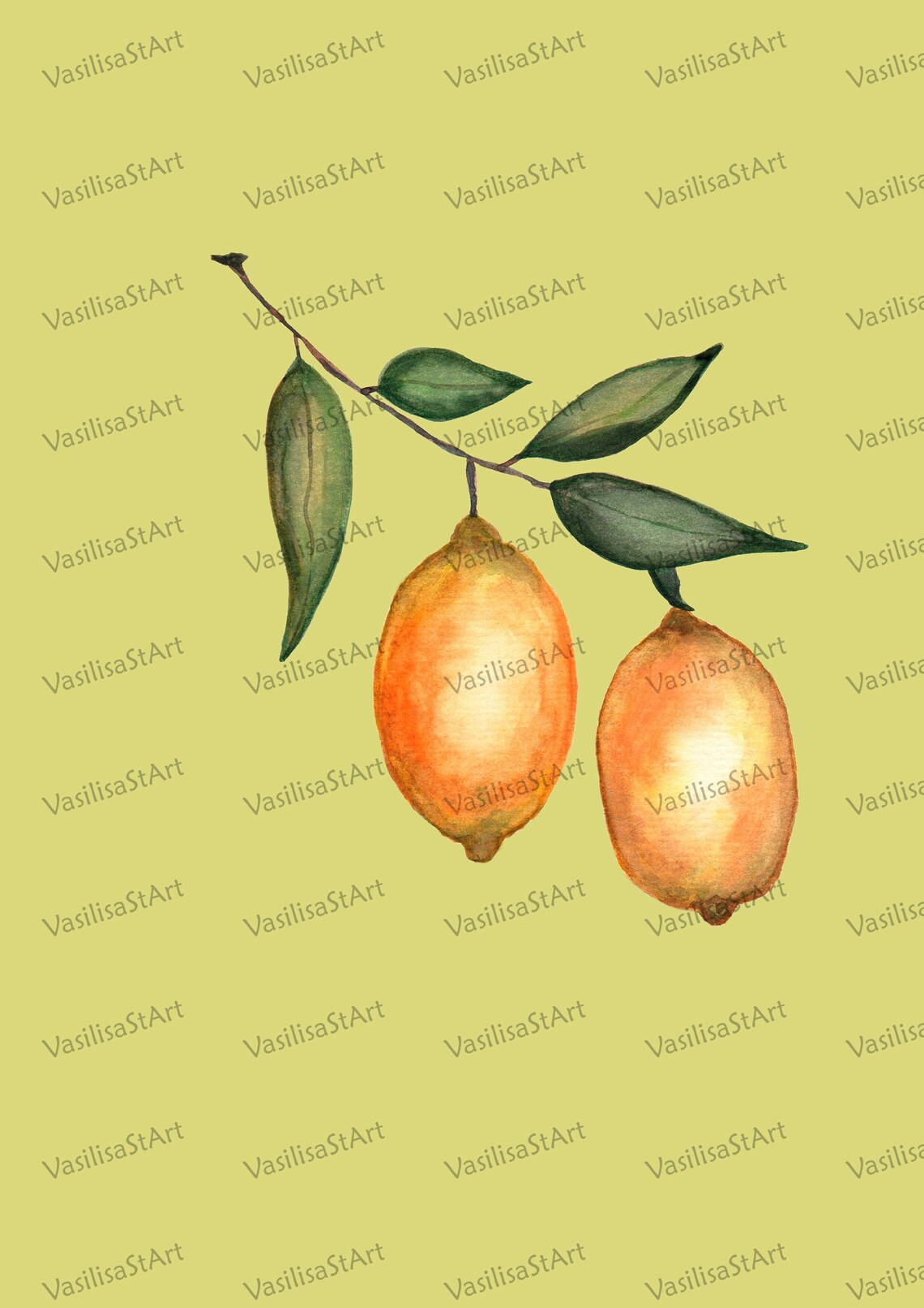 Watercolor Sprig of Lemon PNG, Hand Drawn, Lime Clipart, Watercolor ...