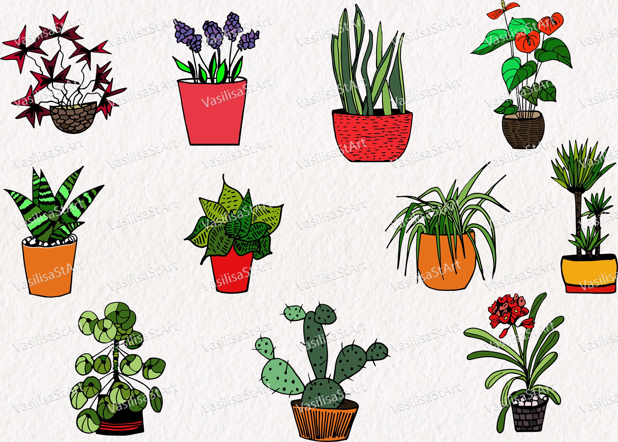 Potted Plants Clipart, Hand Drawn, House Plants Clipart, Home Flowers ...