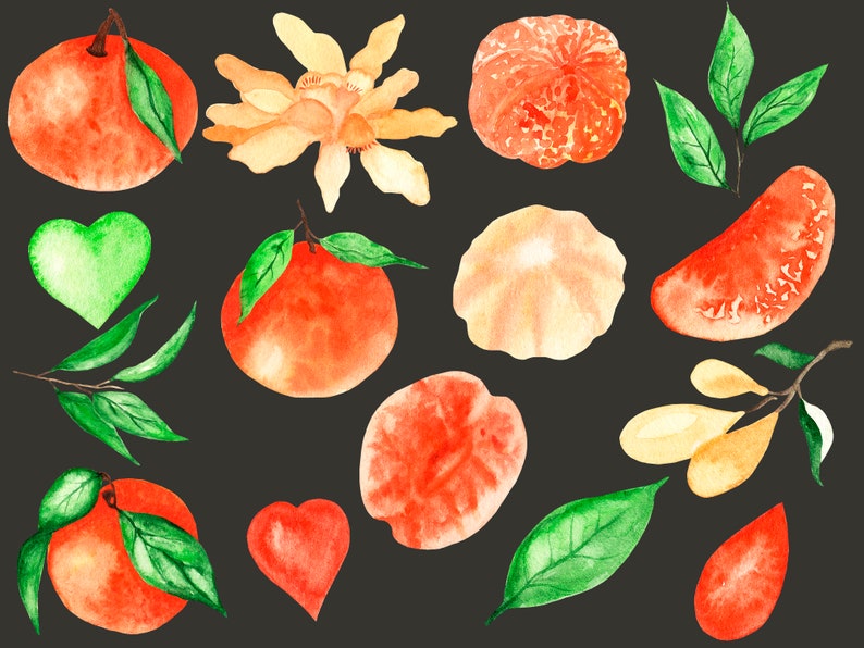 Tangerines Clipart, Watercolor Tangerine Clipart, Mandarin Clipart ...