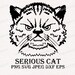 Serious Cat Svg, Files for Cricut, Shirt Design, Tabby Cat Svg, Dxf Cut ...