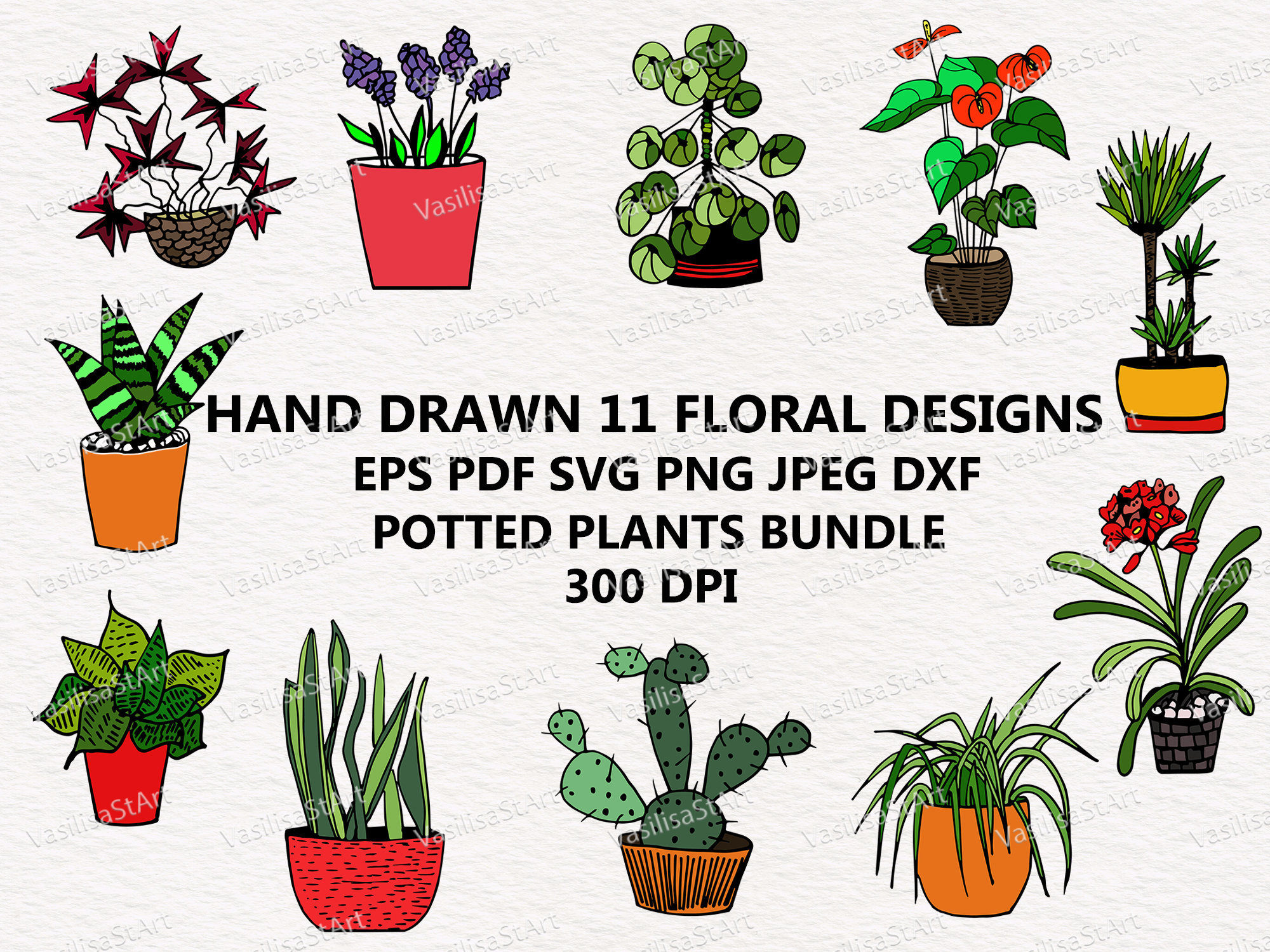 Potted Plants Clipart, Hand Drawn, House Plants Clipart, Home Flowers ...