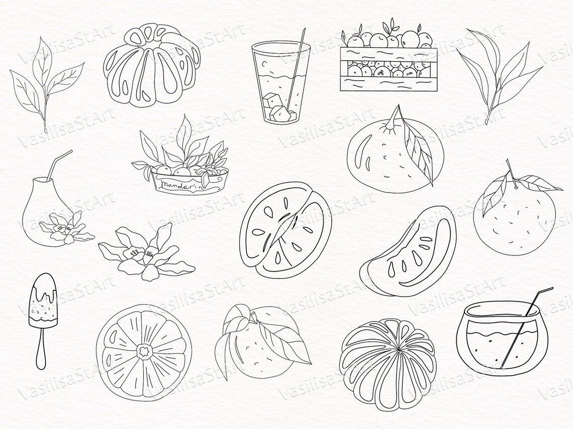 Mandarin Clipart Svg Citrus Clipart Fresh Fruit Clipart - Etsy