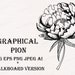 Pion SVG, Floral Svg, SVGS, Cricut, Clipart, Hand-drawn, Silhouette ...