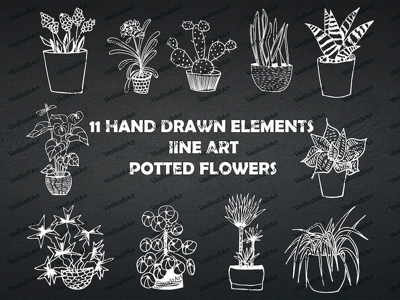 Hand Drawn Potted Flowers Clipart, White Flowers , Doodle Flowers, PNG ...