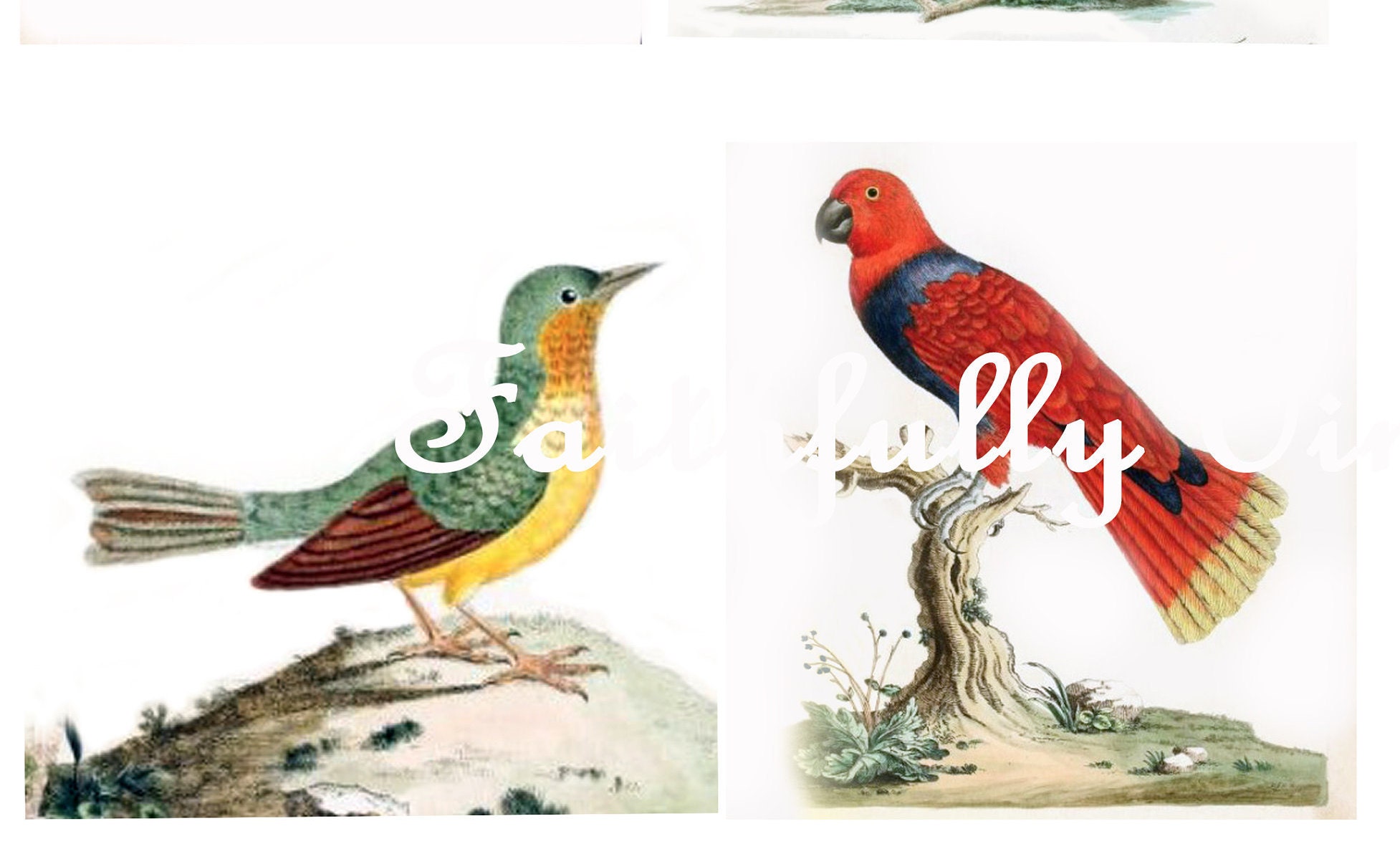 Printable Bird Print Vintage Bird Cards Junk Journal Nserts - Etsy