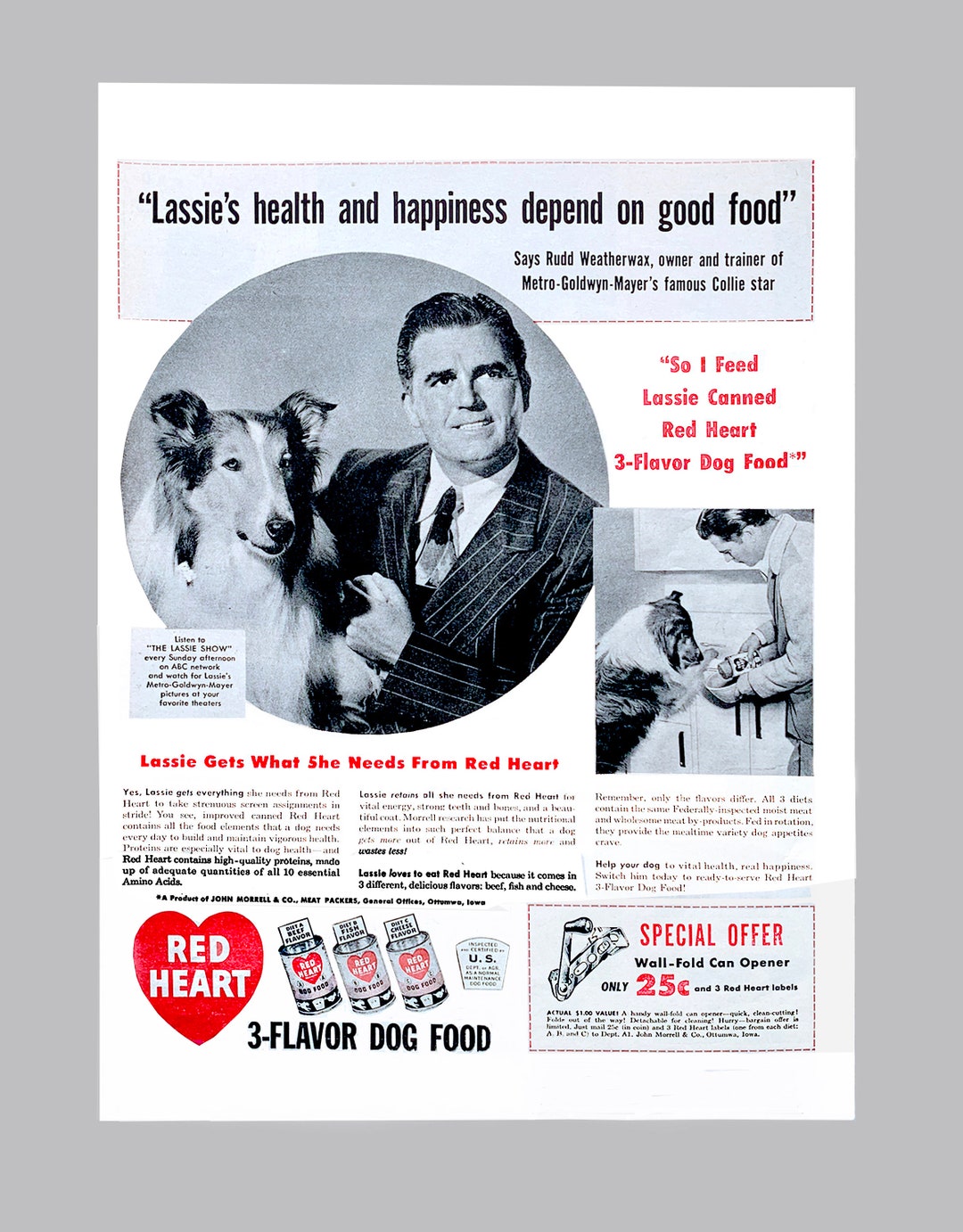 TV Lassie Dog Ad Dog Decor Border Collie AD Vintage - Etsy