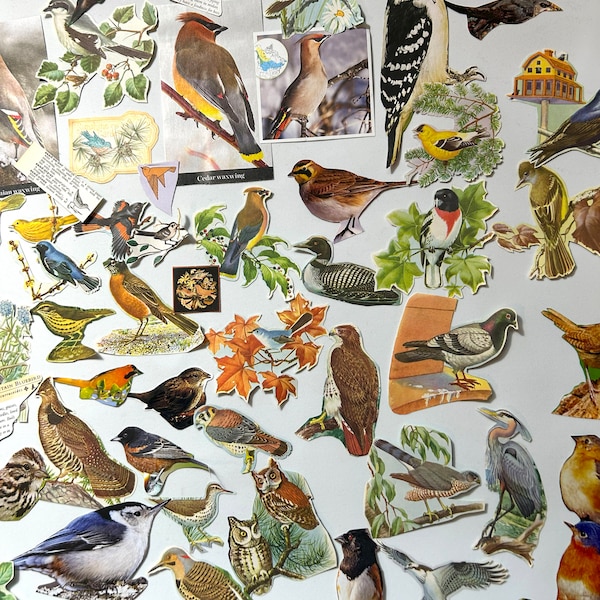 Ephemera Bird - Etsy