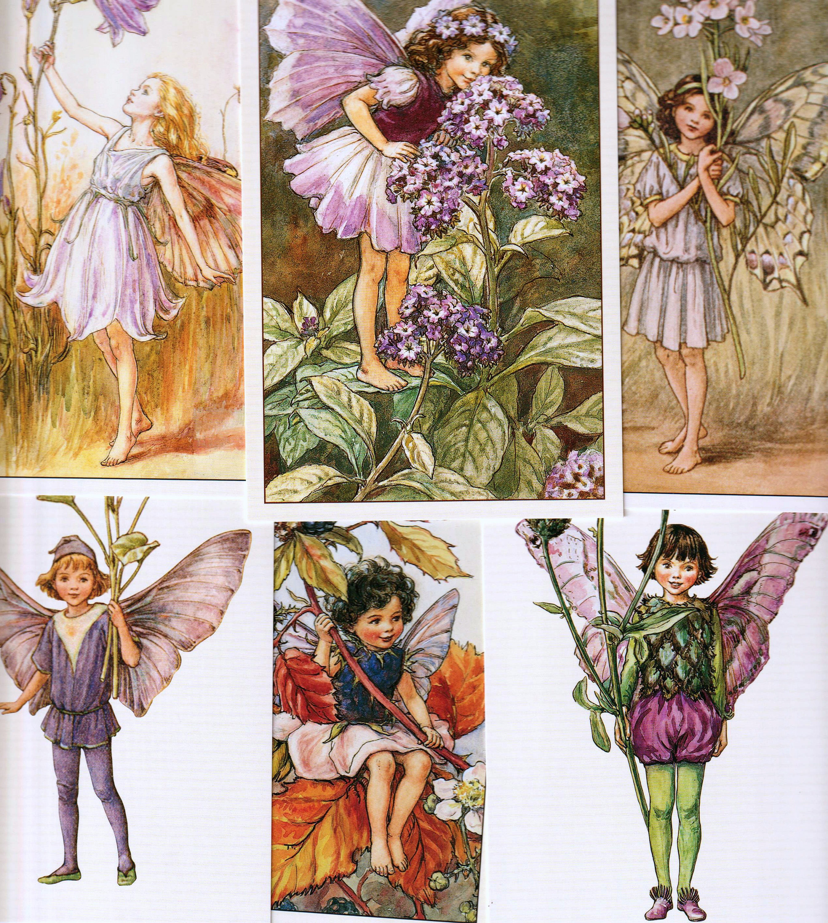 Vintage Flower Fairy Postcards by Cicely Mary Barker, Botanical Art ...