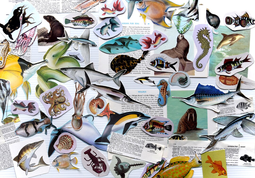 Vintage Marine Biology Ephemera: Fish Cutouts for Craft, Decoupage, and ...