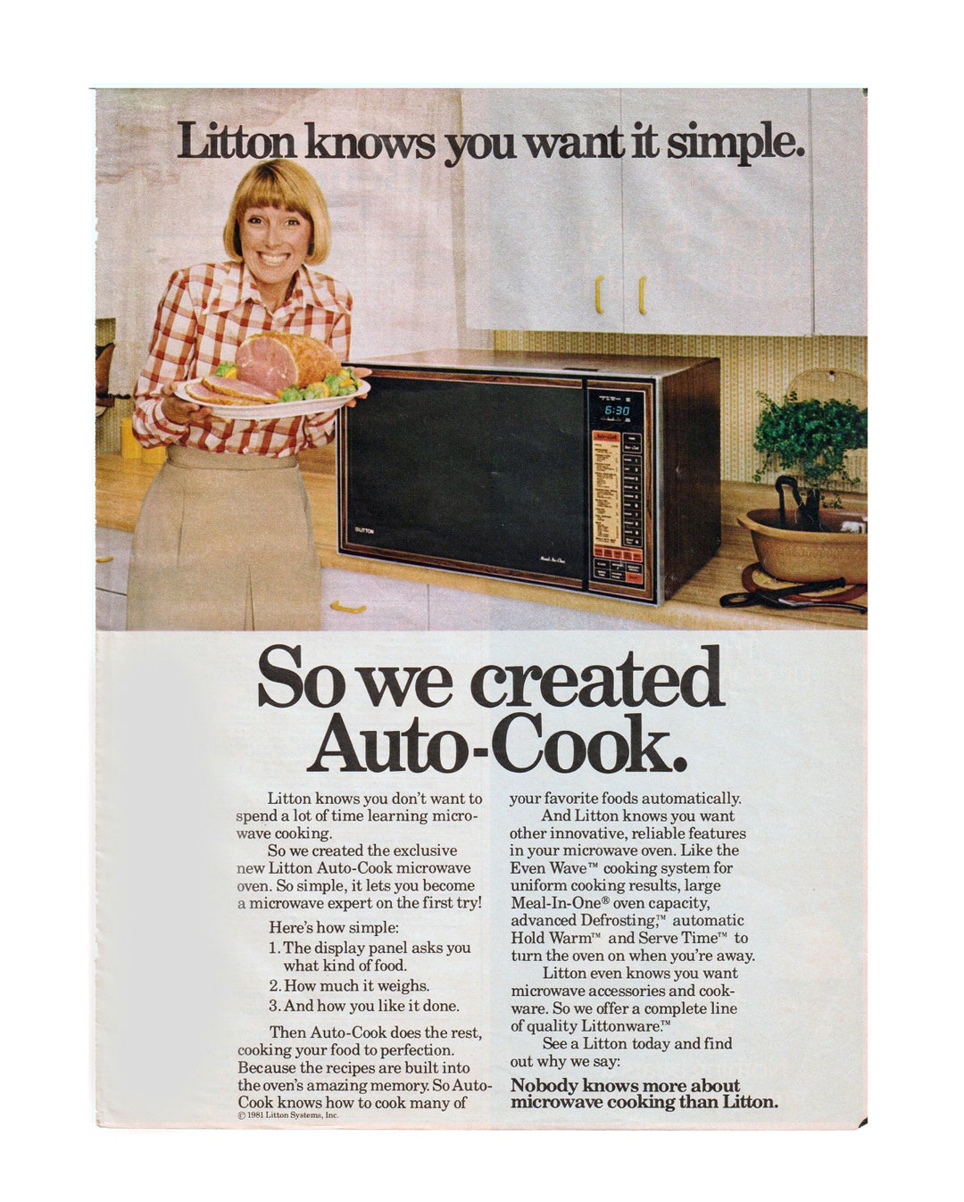 1980s Litton Microwave Ad for Vintage Magazine, Original Kitchen ...