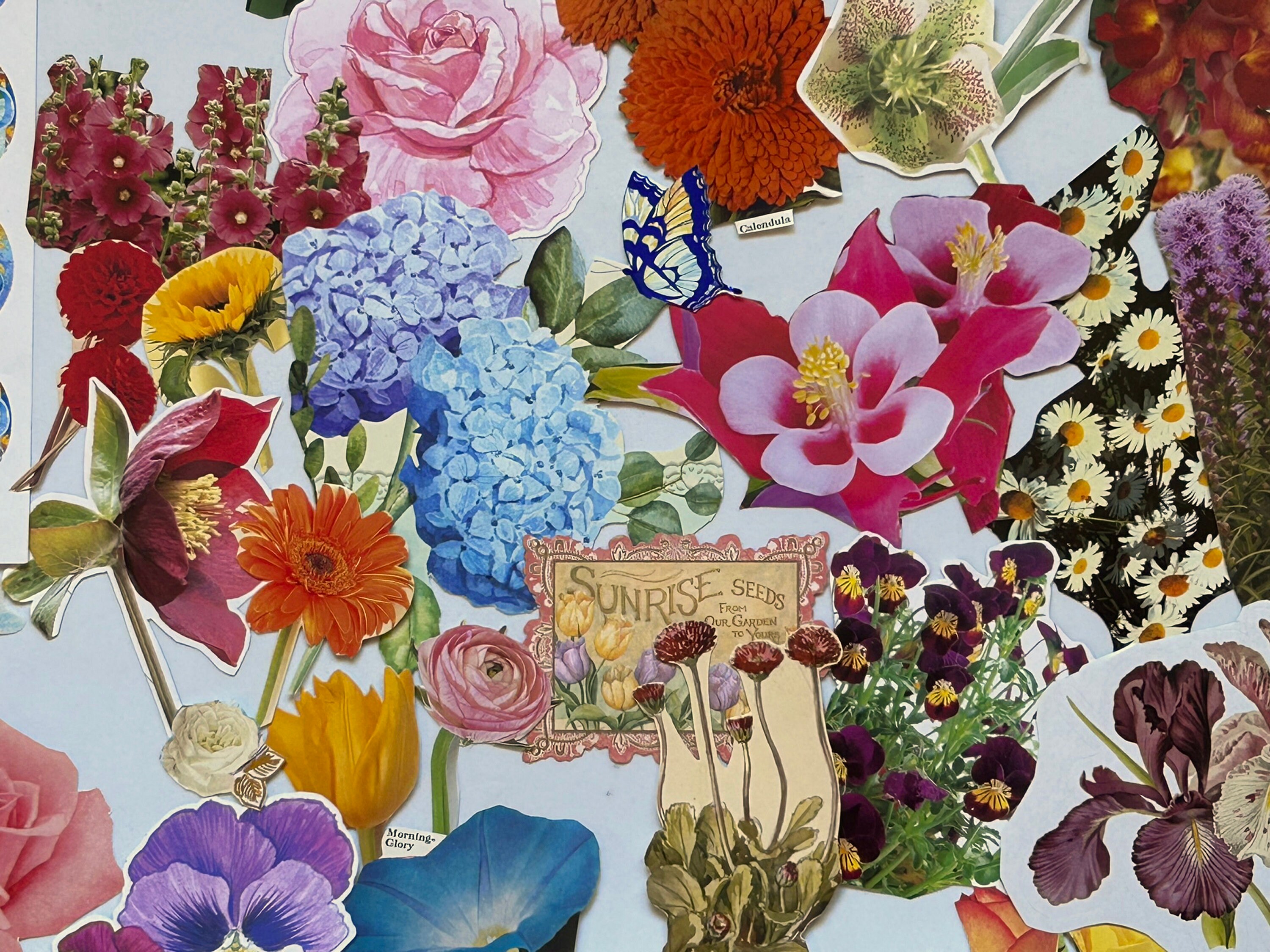 Flower Ephemera 25 Pack Floral Ephemera Garden Journal - Etsy