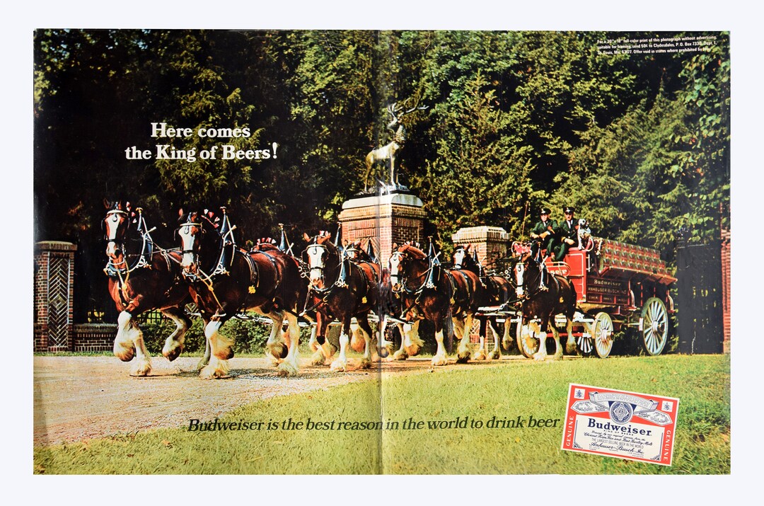 Budweiser Clydesdales Advertising Beer Magazine Vintage Ad for Home Bar ...