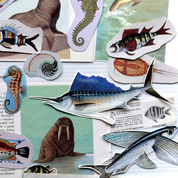 Fish Cut Out - Etsy