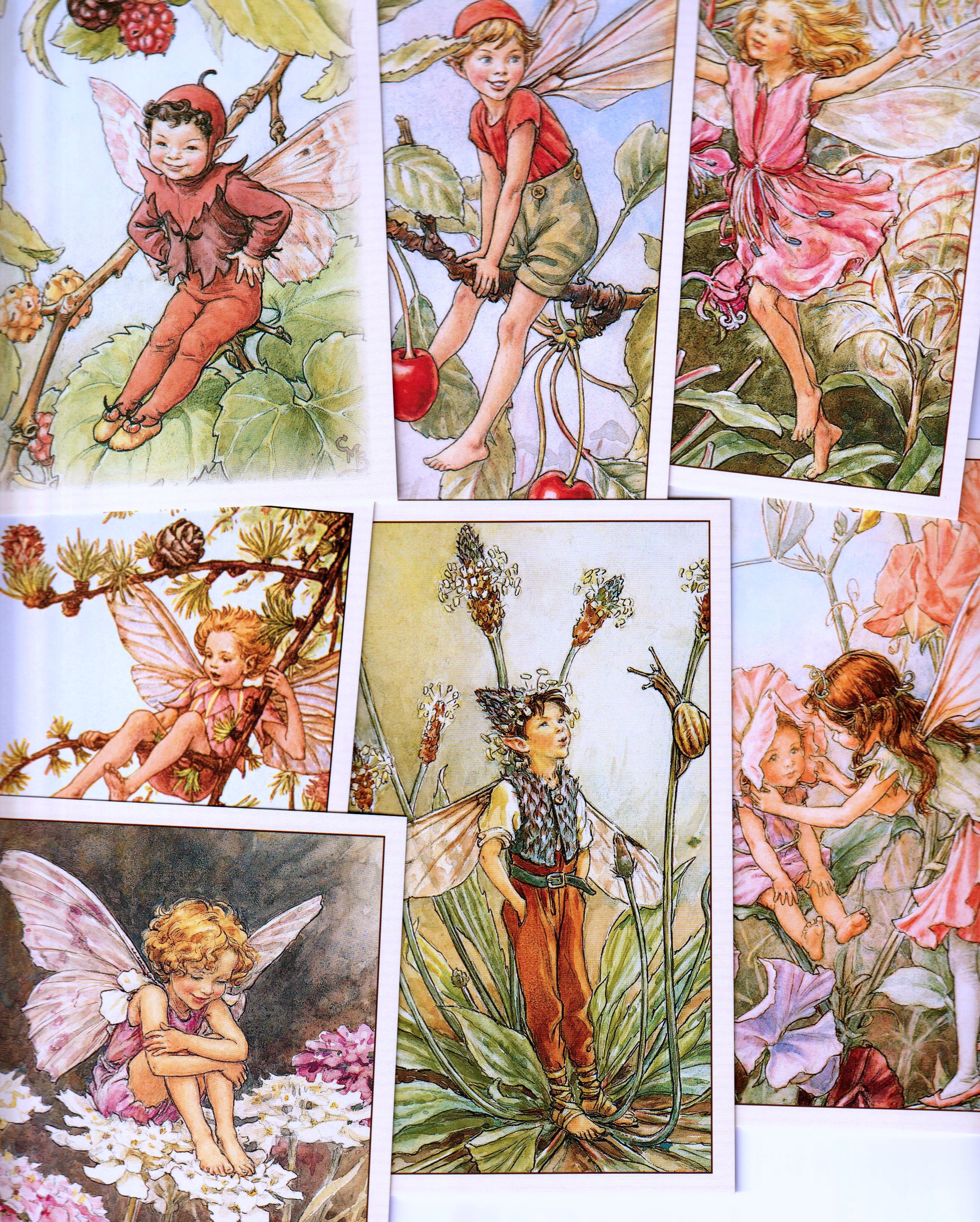Vintage Flower Fairy Postcards by Cicely Mary Barker, Botanical Art ...
