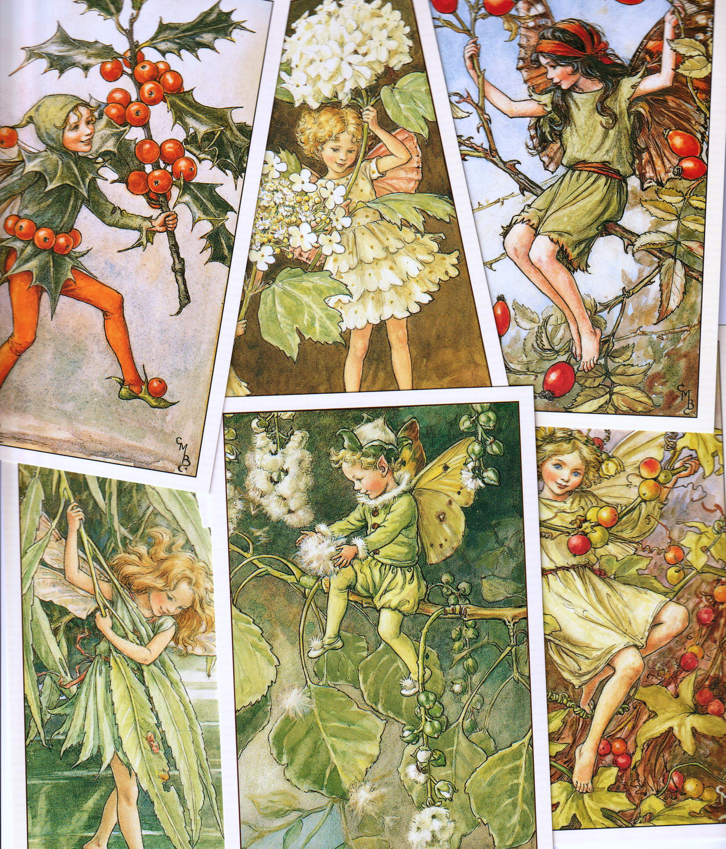 Vintage Flower Fairy Postcards by Cicely Mary Barker, Botanical Art ...