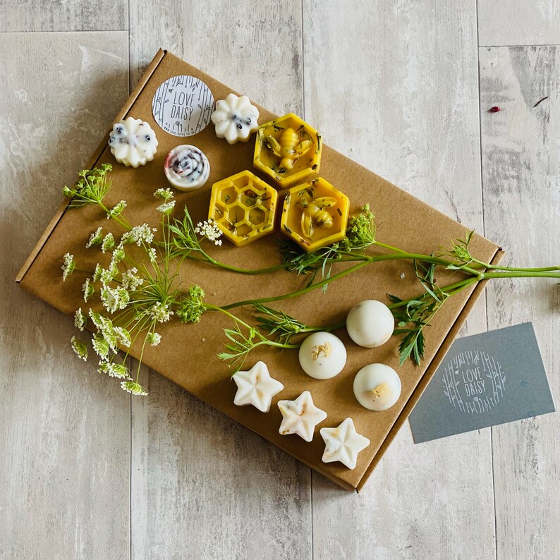 Wax Melt Refill Box Spring Seasonal Selection With | Etsy