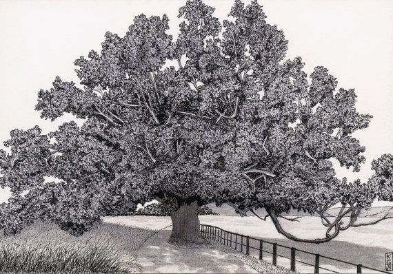 THE SENTINEL is a Print of a Pen and Ink Original Drawing of a - Etsy