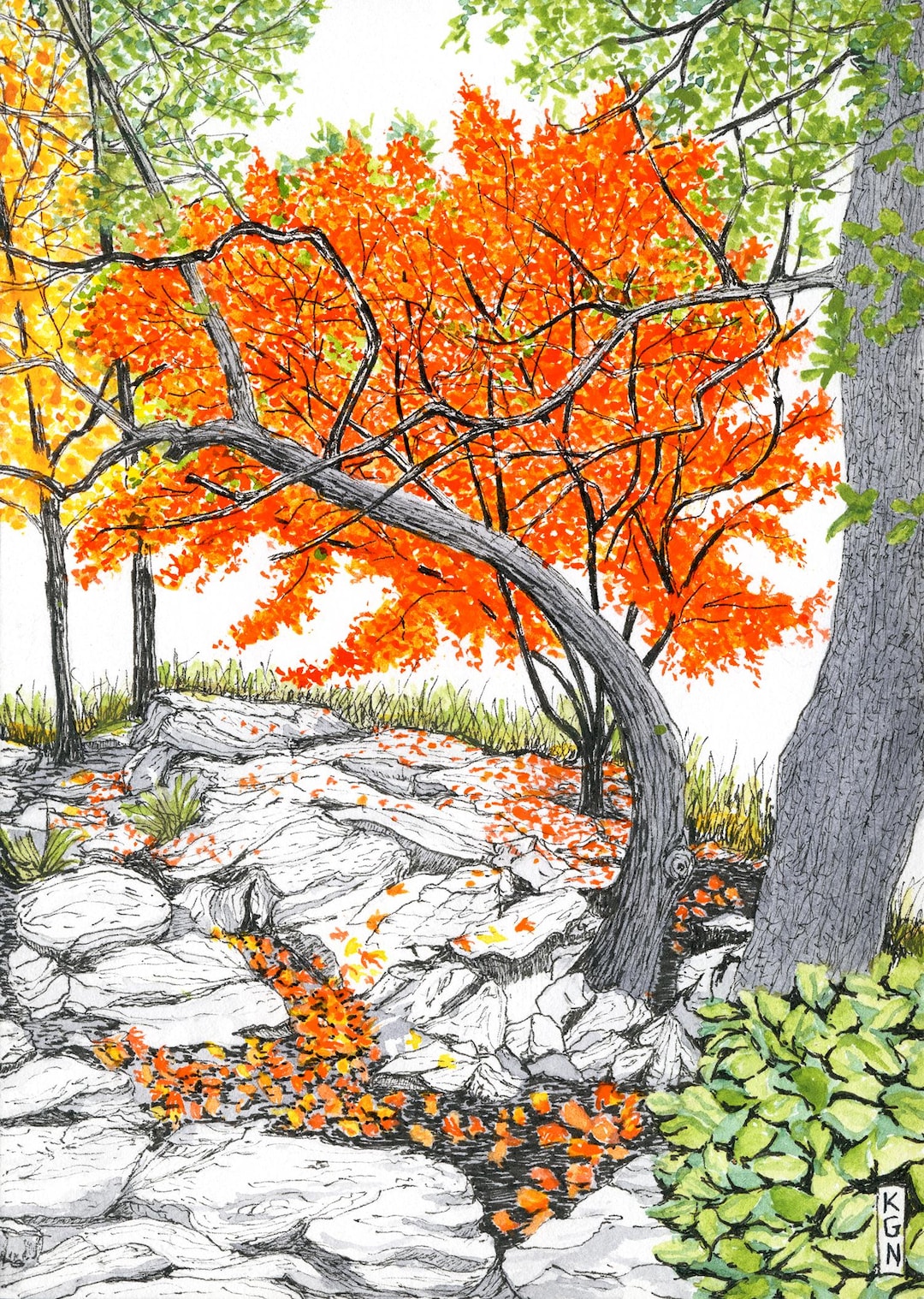 AUTUMN DREAM is an Original Pen and Ink Giclee Archival Ink Print of My ...